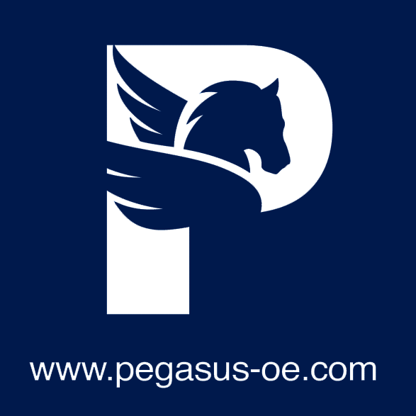 Pegasus Solutions Logo Pegasus Solutions